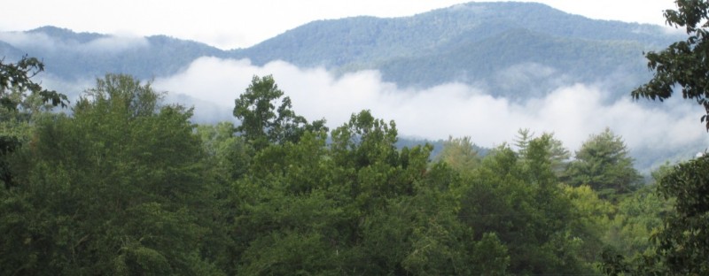 Holly Cove RV Resort - Whittier, NC - RV Parks - RVPoints.com