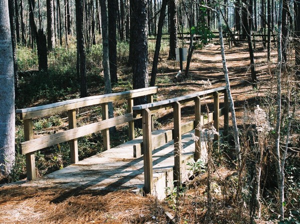 Falling Waters State Park - Chipley, FL - Florida State Parks ...