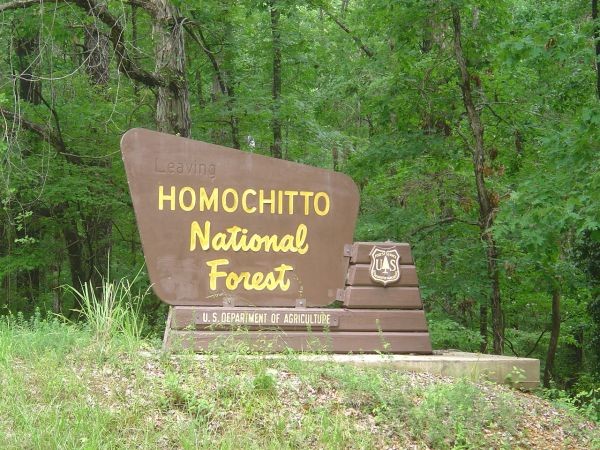 Homochitto National Forest - Jackson, MS - National Parks - RVPoints.com