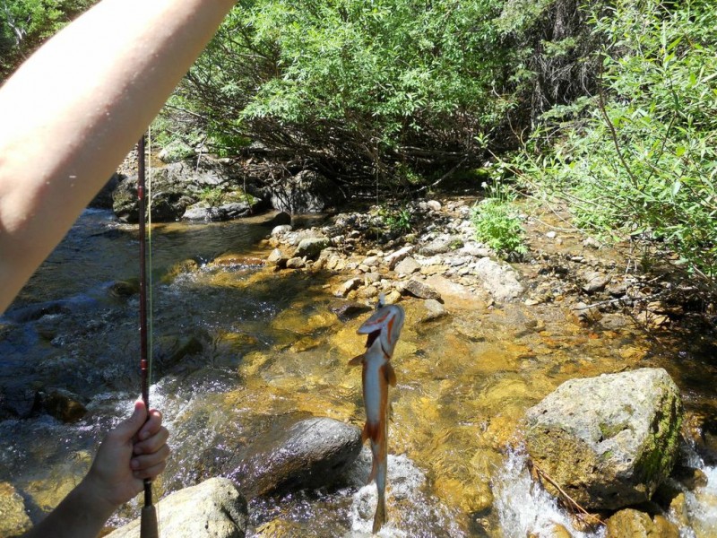 Bruce Spruce Ranch - Pagosa Springs, CO - RV Parks - RVPoints.com