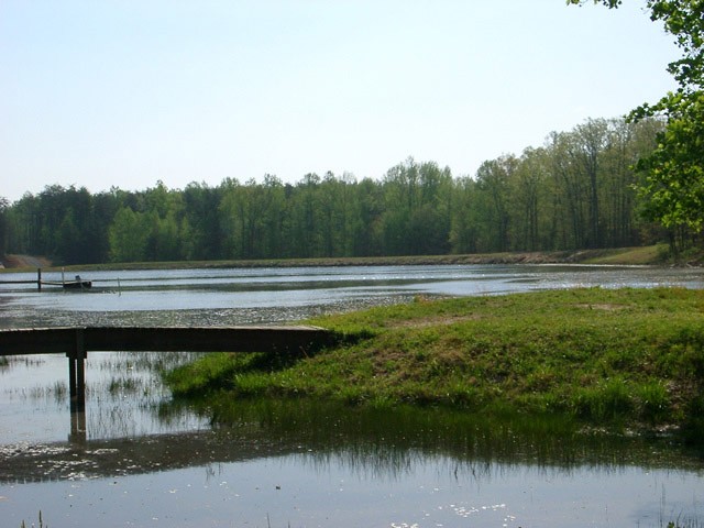 Small Country Campground - Louisa, VA - RV Parks - RVPoints.com