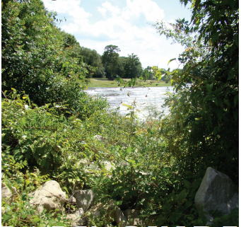 Leake County Water Park - Lena, MS - Mississippi State Parks - RVPoints.com