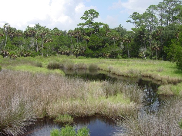Econfina River State Park - Econfina, FL - Florida State Parks ...