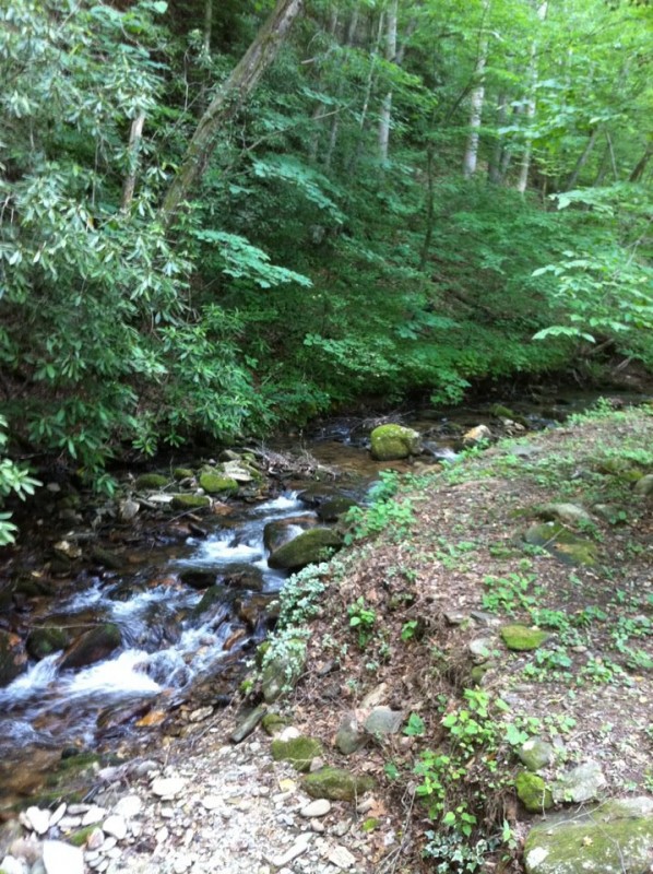 Top Of Georgia Airstream Park - Helen, GA - RV Parks - RVPoints.com