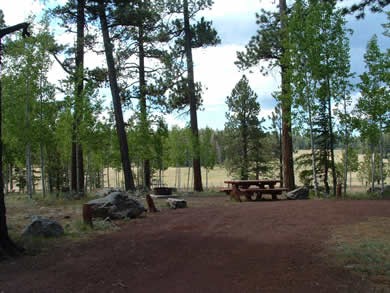 Winn Campground Apache-Sitgreaves National Forest - Springerville, AZ ...