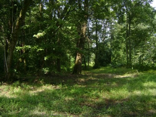 Magnolia Farms RV Resort - Foley, AL - RV Parks - RVPoints.com