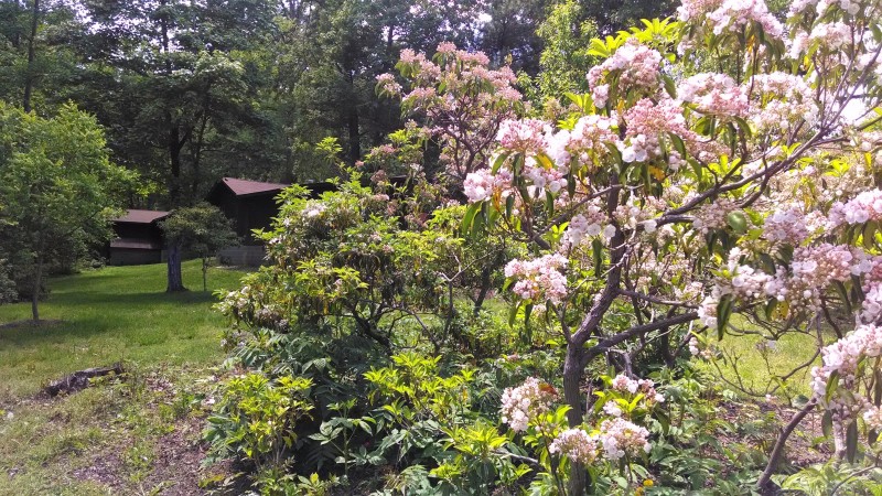 Frederick County 4-H Camp & Activities Center - Frederick, MD - RV ...