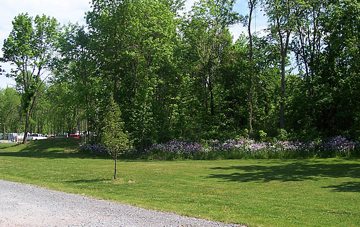 Red Rock Ponds RV Resort - Holley, NY - RV Parks - RVPoints.com