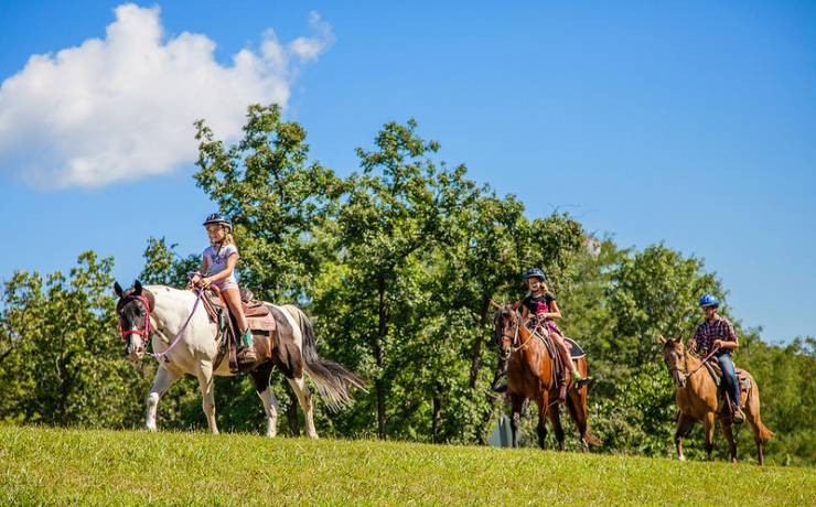 Lake of the Ozarks State Park - Kaiser, MO - Missouri State Parks ...
