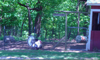 Bull Run Bluff Campground - Camdenton, MO - RV Parks - RVPoints.com