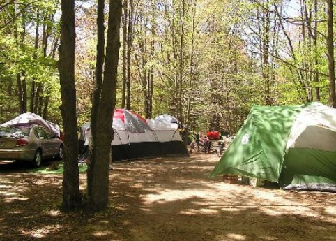 Kalkaska RV Park & Campground - Kalkaska, MI - RV Parks - RVPoints.com