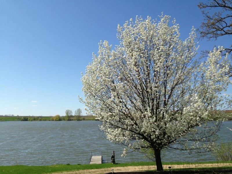 Lake Joy Campground - Belmont, WI - RV Parks - RVPoints.com