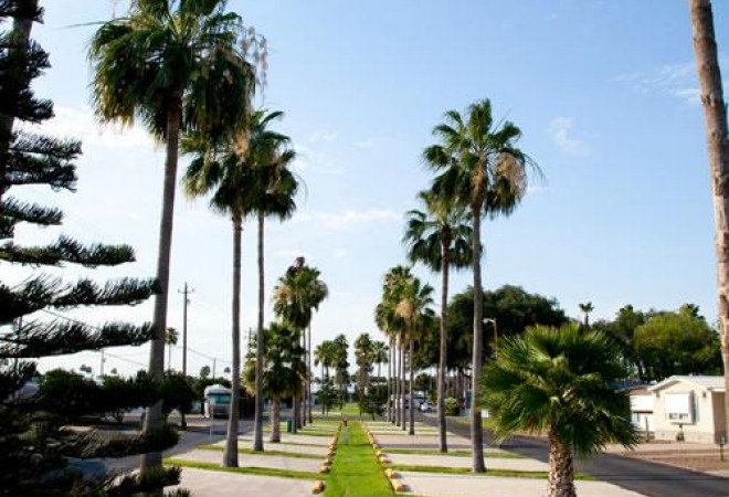 Alamo Palms RV Resort - Alamo, TX - Encore Resorts - RVPoints.com