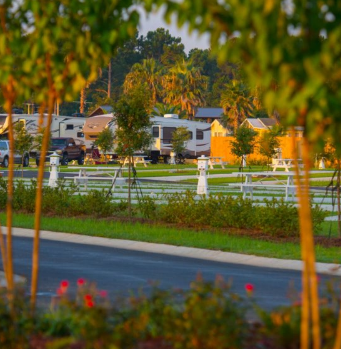 Pandion Ridge RV Resort - Orange Beach, AL - RV Parks - RVPoints.com