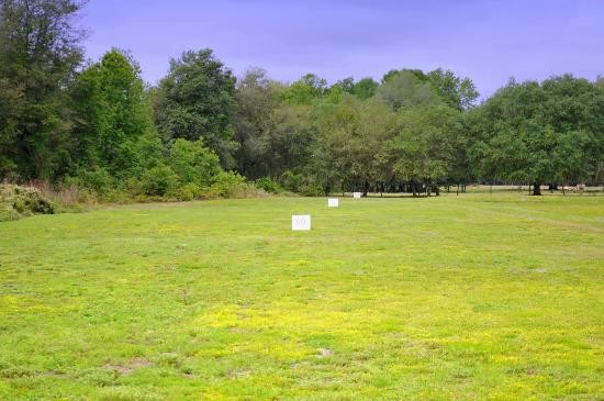 Three Flags RV Campground - Wildwood, FL - Thousand Trails Resorts ...