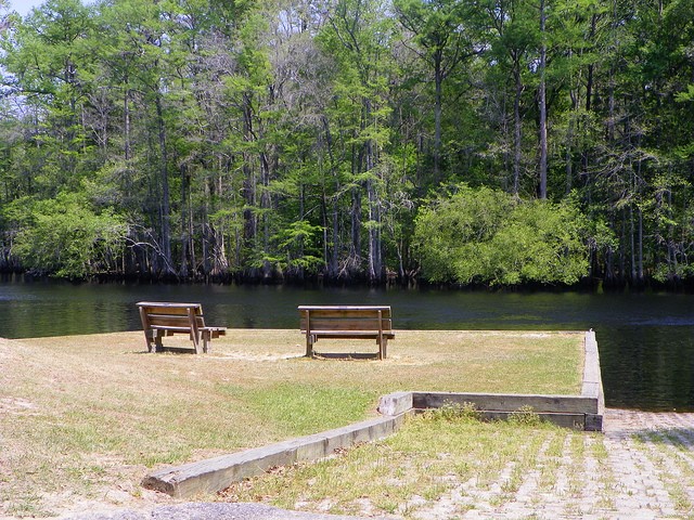 Lumber River State Park - Orrum, NC - North Carolina State Parks ...