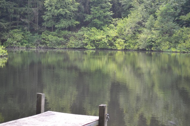 Cranberry Run Campground - East Stroudsburg, PA - RV Parks - RVPoints.com