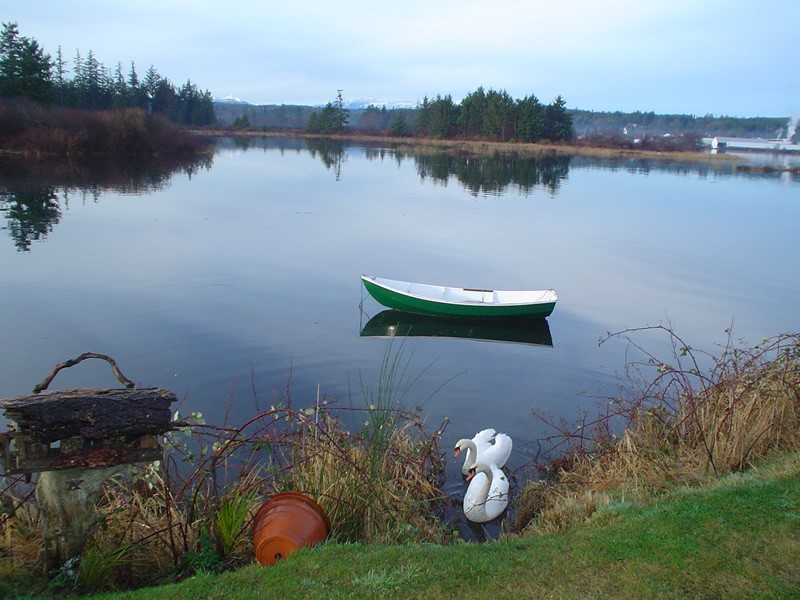 Thunderbird RV Park & Resort - Campbell River, BC - RV Parks - RVPoints.com