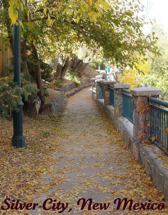 Rose Valley RV Ranch - Silver City, NM - RV Parks - RVPoints.com