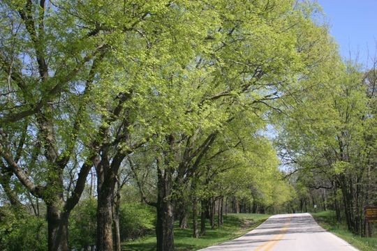 Dolliver Memorial State Park - Otho, IA - Iowa State Parks - RVPoints.com