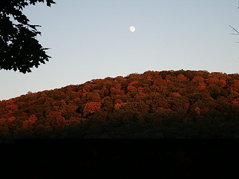 Scottyland Camping Resort Ctr - Rockwood, PA - RV Parks - RVPoints.com