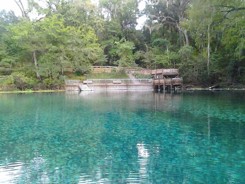 Fanning Springs State Park - Fanning Springs, FL - Florida State Parks ...