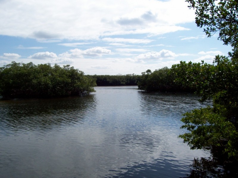 Sun Lake RV Resort - Ruskin, FL - RV Parks - RVPoints.com