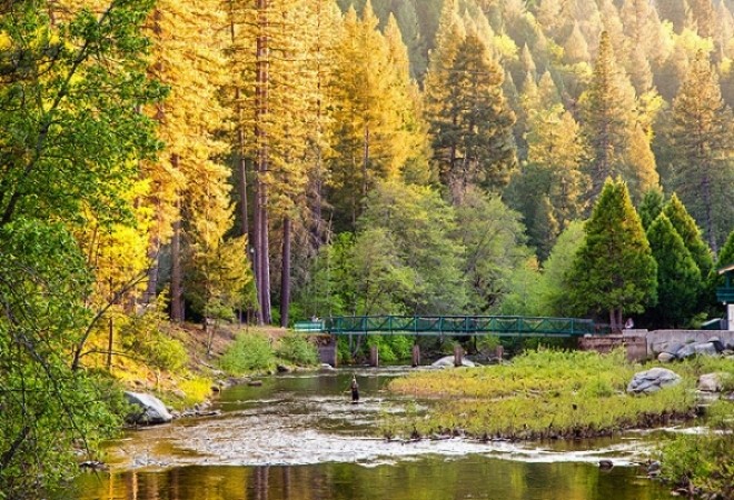 Yosemite Lakes RV Resort - Groveland, CA - Thousand Trails Resorts ...