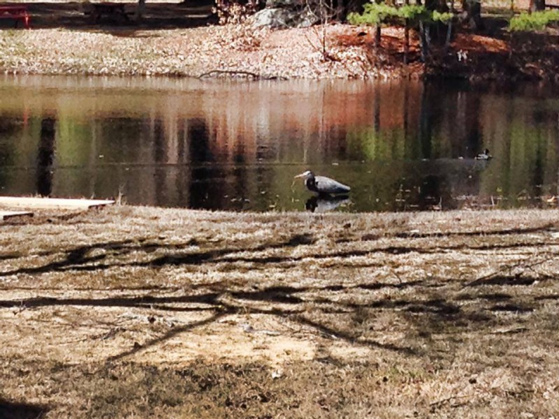 Circle 9 Ranch Campground - Epsom, NH - RV Parks - RVPoints.com