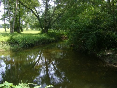 Magnolia Farms RV Resort - Foley, AL - RV Parks - RVPoints.com