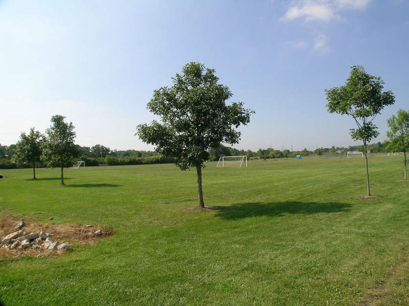 Country View Campground - Mukwonago, WI - RV Parks - RVPoints.com