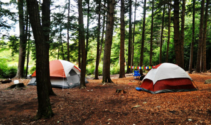 Tully Lake Campground - Royalston, MA - RV Parks - RVPoints.com