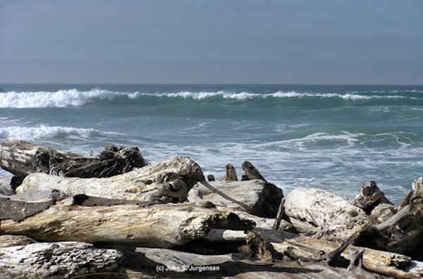 AAA Midway RV Park - Coos Bay, OR - RV Parks - RVPoints.com