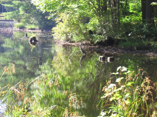 Circle 9 Ranch Campground - Epsom, NH - RV Parks - RVPoints.com