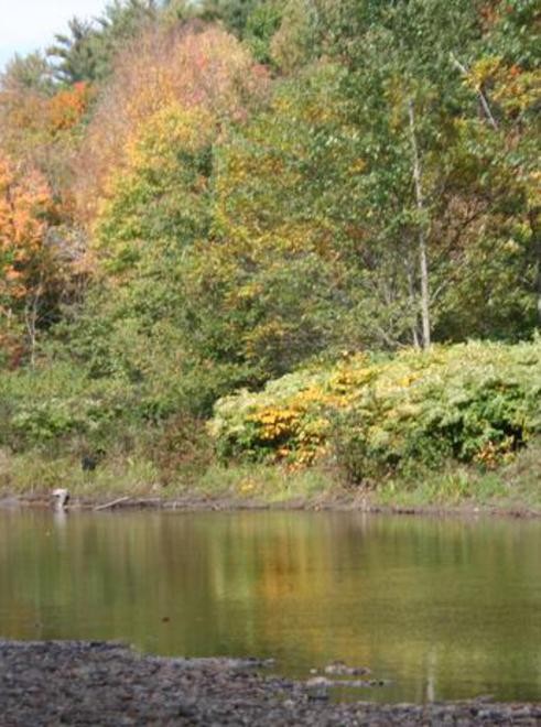 Mountain Pines Campgrounds - Rumney, NH - RV Parks - RVPoints.com