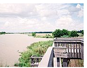 Trinity Bay RV Park - Anahuac, TX - RV Parks - RVPoints.com