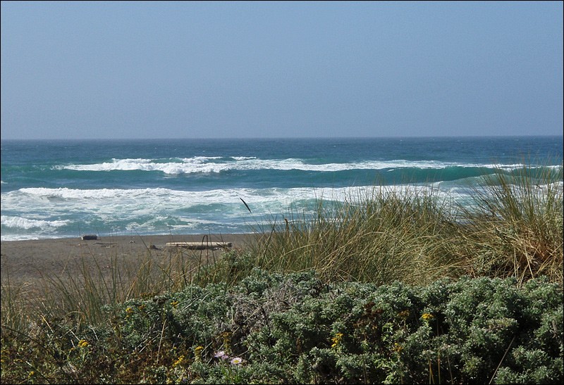 Manchester State Park - Manchester, CA - California State Parks ...
