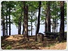 Cotile Lake Recreation Area - Boyce, LA - County / City Parks ...