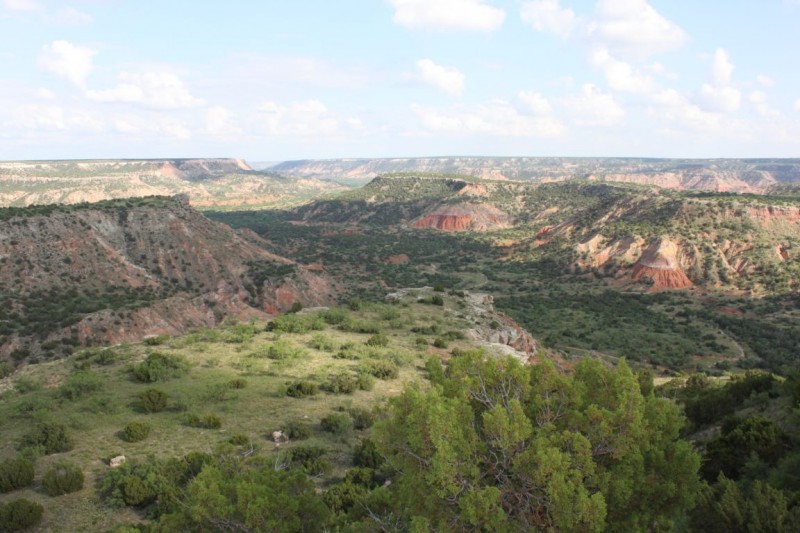 Amarillo Ranch RV Park - Armarillo, TX - RV Parks - RVPoints.com