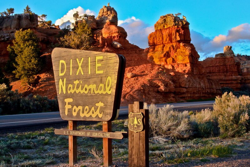 Posey Lake Campground Dixie National Forest - Dixie, UT - National ...