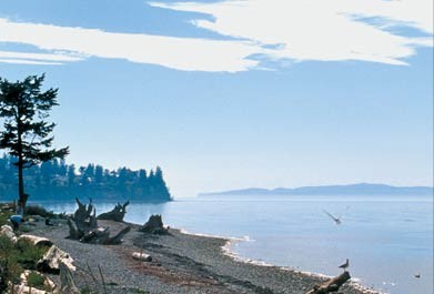 Beachwood Resort - Blaine, WA - RV Parks - RVPoints.com