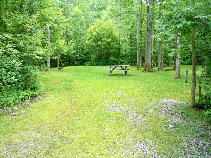 Lake Bluff Campground - Wolcott, NY - RV Parks - RVPoints.com