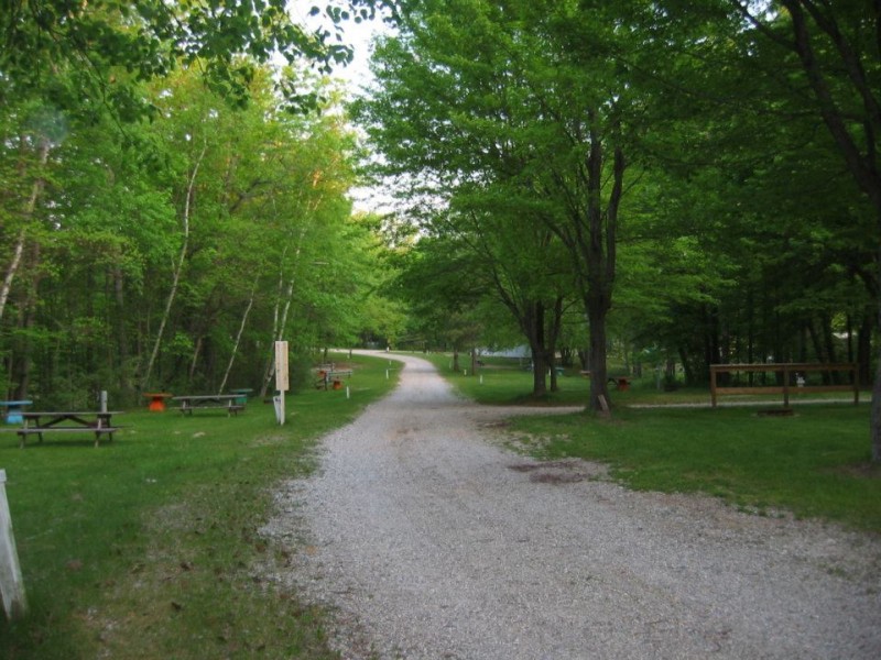 Bluegill Lake Family Camping Resort - Mecosta, MI - RV Parks - RVPoints.com