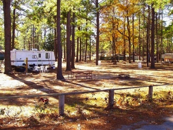 Sam Rayburn Marina Resort - Brookeland, TX - RV Parks - RVPoints.com