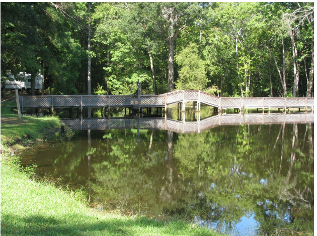 Woodsmoke Family Campground - Irmo, SC - RV Parks - RVPoints.com