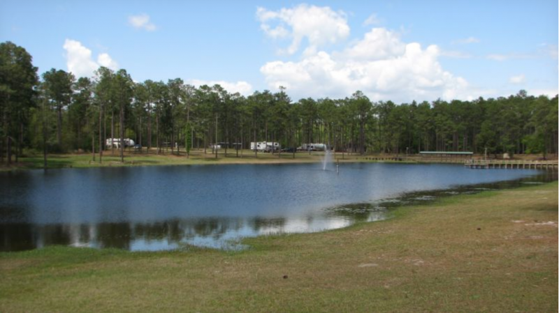 Dead Lakes Recreation Area - Wewahitchka, FL - County / City Parks ...