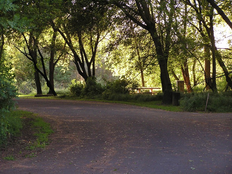 Caswell Memorial State Park - Ripon, CA - California State Parks ...