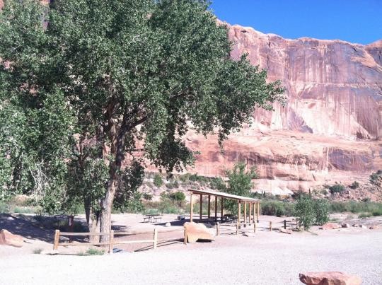 Goose Island Campground - Moab, UT - RV Parks - RVPoints.com