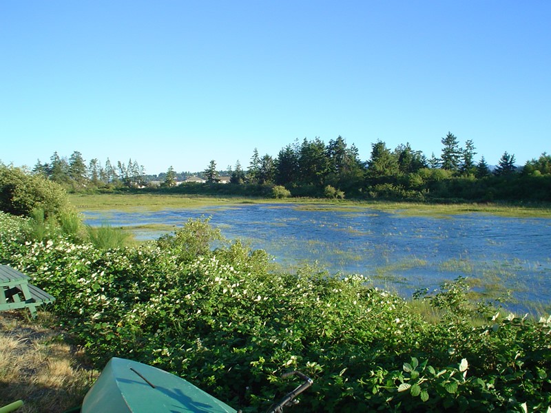 Thunderbird RV Park & Resort - Campbell River, BC - RV Parks - RVPoints.com