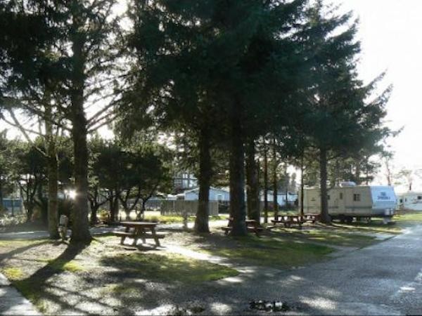 Netarts Bay Garden RV Resort - Tillamook, OR - RV Parks - RVPoints.com